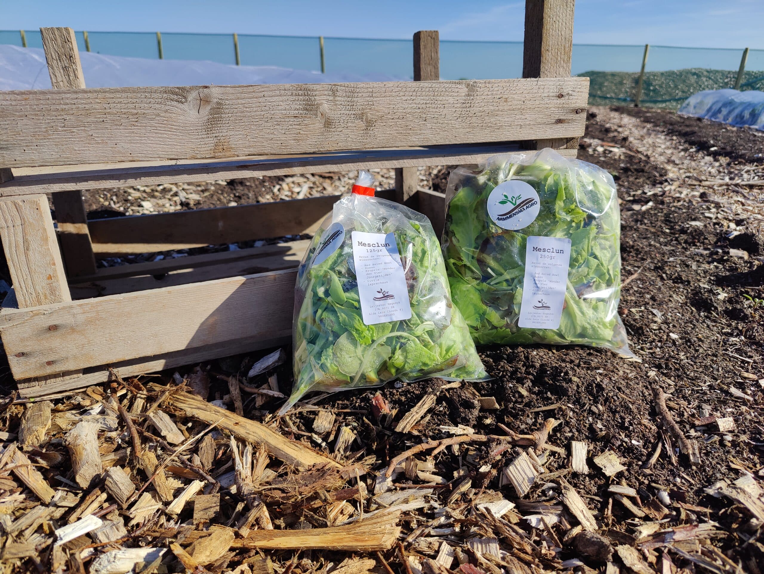 Sla mix 250GR - Better Foar Letter | buurtmarkt-voedselcoöperatie uit ...